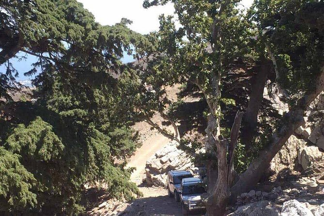 Kos Land Rover Safari - Value for Money: Is it Worth It?