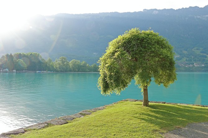 (KTL361) - Interlaken day trip by bus from Lausanne - The Experience in Detail