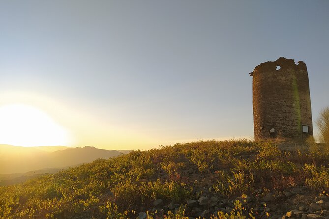 La Axarquia White Villages & Buddhist Stupa - SemiPrivate - Discovering La Axarquia: A Rich Tapestry of Culture and Nature