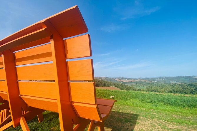 La Maliosa Farm Experience & Wine Tasting - What to Expect on the La Maliosa Farm Experience & Wine Tasting