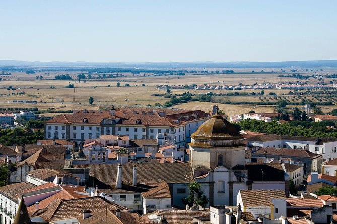 Landscapes of Alentejo - Évora Tour from Lisbon - An In-Depth Look at the Évora Tour Experience