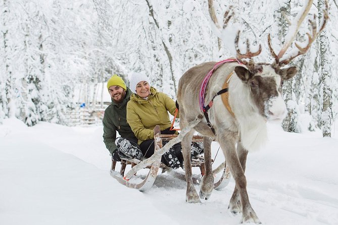 Lapland Reindeer Safari from Rovaniemi - Setting the Scene: What the Tour Entails