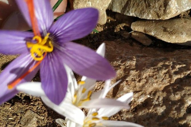 Lasithi Plateau Traditional Vilages - The Itinerary in Detail