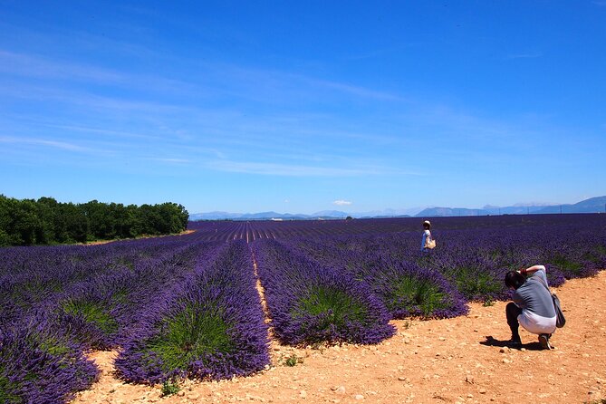 Lavender Fields Tour in Valensole from Marseille - The Authentic Touch: What Past Travelers Say