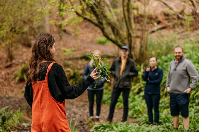 Learn to forage in Llangollen - A Closer Look at What to Expect on the Foraging Walk