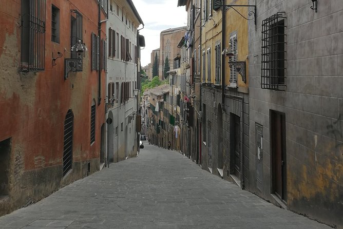 Let's discover Siena! - An In-Depth Look at the Siena Experience