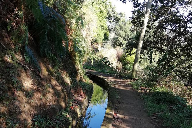 Levada da Referta - Castelejo - What’s the Itinerary Like?