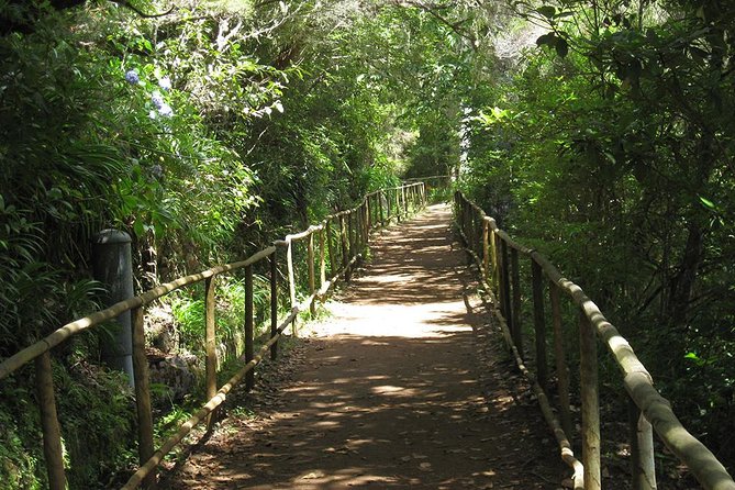 Levada do Caldeirão Verde Levada Walk from Funchal - The Overview of the Tour Experience