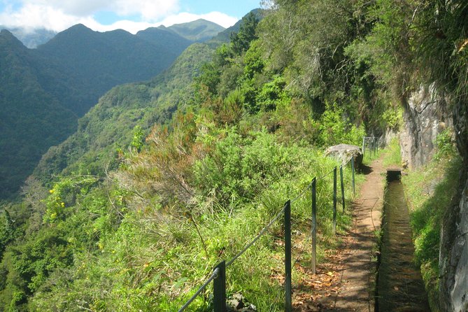 Levada do Rei - Ribeiro Bonito (Full Day Walk) - The Itinerary in Detail: What You Can Expect