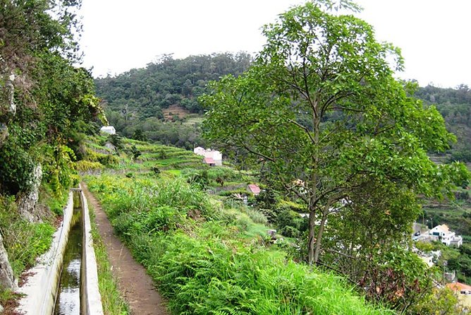 Levada dos Maroços - The Itinerary in Detail: What to Expect on the Levada dos Maroços Tour