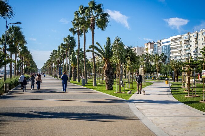 Limassol Like a Local: Customized Private Tour - Exploring Limassol Through a Local’s Eyes
