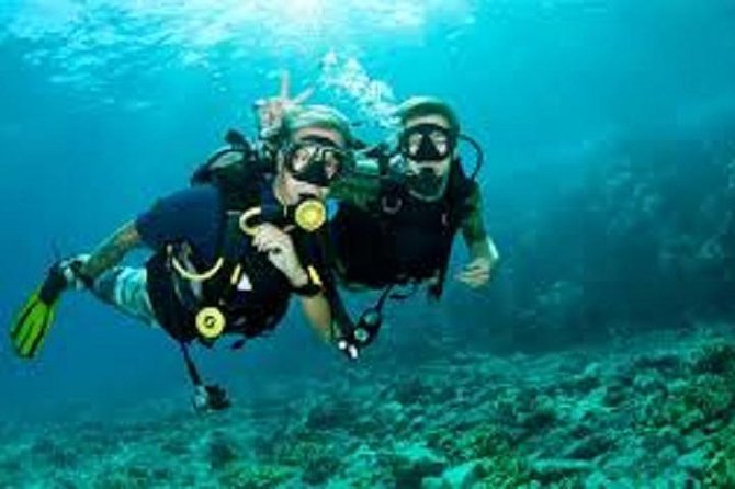 Lisbon Active Tourism - Diving in Arrábia - Sesimbra - Key Points