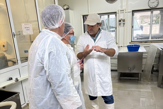 Lisbon Cheese Factory Visit, Wine Tasting and Tile Painting Tour - A Closer Look at the Tours Itinerary