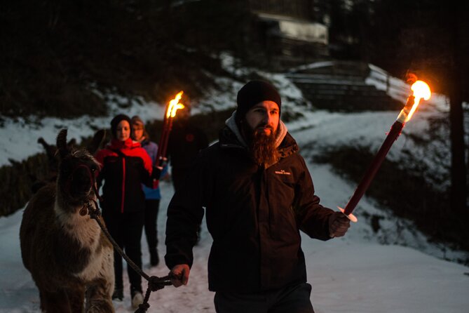 Llama hike with homemade, traditional cheese fondue - A Scenic Stroll in the Alps with Animal Companions