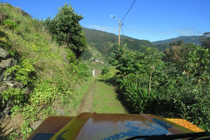 Local Farmers Market and 4WD Experience from Funchal - Introduction to a Madeiran Adventure