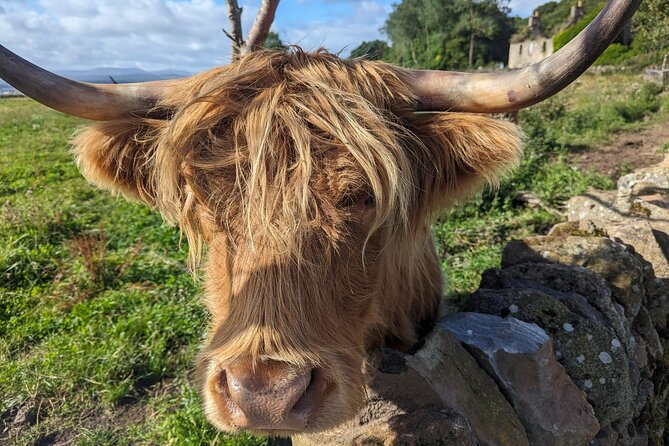 Loch Lomond, Highland Cows, Victorian Town, Kelpies Half-Day Tour - An In-Depth Look at the Tour Itinerary
