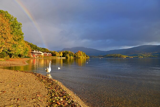 Loch Lomond National Park & Stirling Castle Full Day Tour - Scene-Setting: A Complete Breakdown of the Itinerary