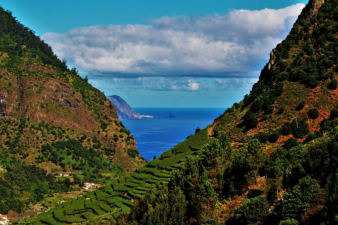 Madeira Island Private Wine Full-day Tour in all terrain vehicle - What Makes This Tour Stand Out