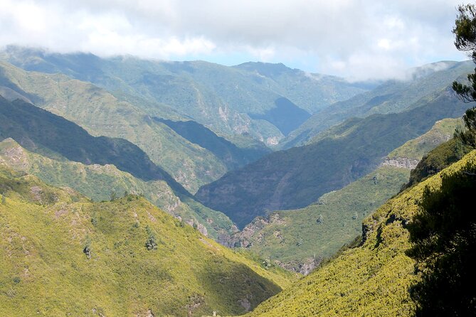 Madeira Lakes - Levada do Alecrim - An In-Depth Look: What to Expect from the Tour