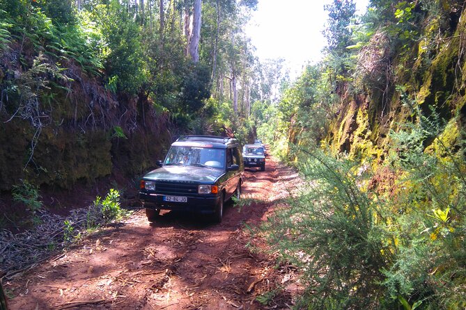 Madeira Safari - East of the island - An In-Depth Look at the Madeira Safari – East of the Island