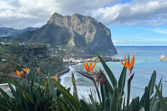 Madeira Stairway to Heaven to Larano Hike Mountain to Sea - What Sets This Tour Apart and What to Consider