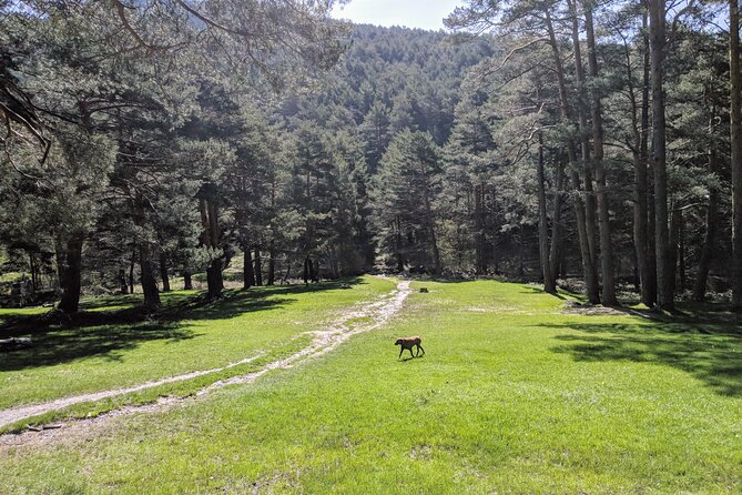 Madrid Mountains Free Walking Tour - Walking Into Nature: The Itinerary Breakdown