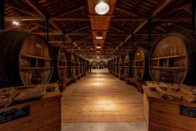 Maison Noilly Prat VIP tour, wine and vermouth tastings - The Itinerary: What You Can Expect