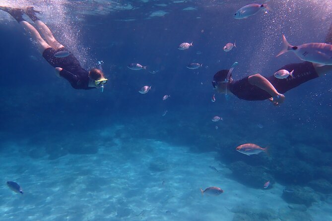 Mallorca: Snorkeling in a Beautiful Nature Reserve - What Travelers Are Saying