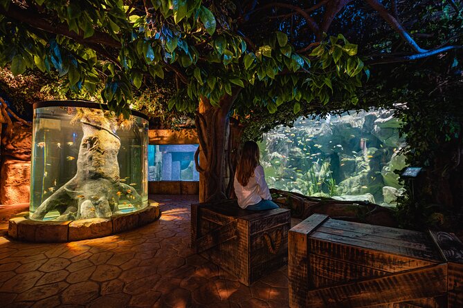Malta National Aquarium Entrance Ticket - Key Points