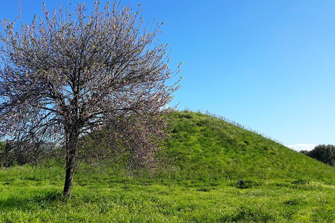 Marathon, Thermopylae/ Herodotus History private tour (9 hours) - The Battle of Thermopylae and Its Legacy