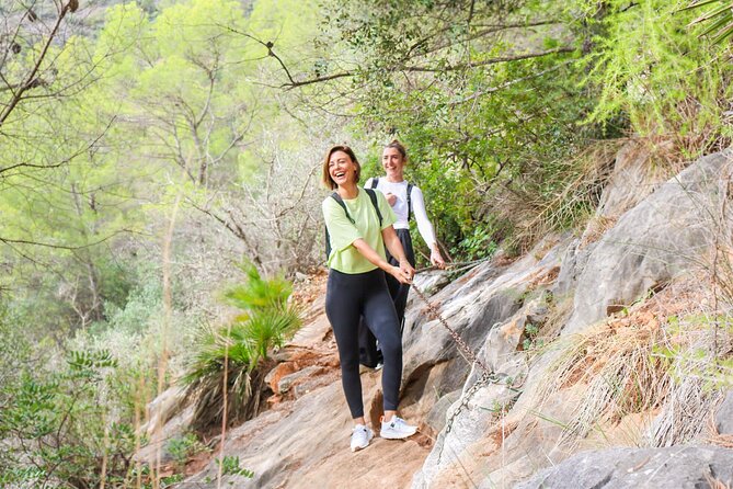 Marbella Guided Hiking and Foraging Adventure - Who Should Consider This Tour?
