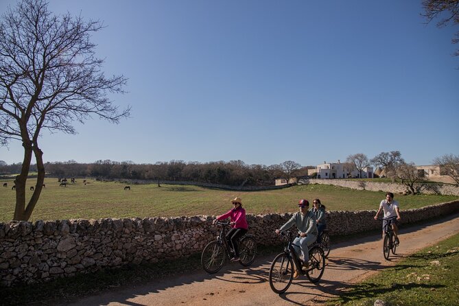 Martina Franca e-Bike tour . Visit a breeding and a dairy farm - Visiting the Farms: A Close-Up Look at Puglian Livestock and Cheese