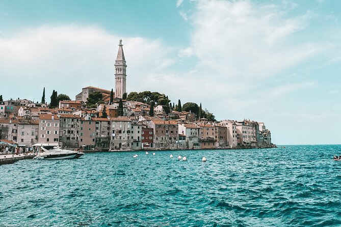 Meat Istria Tour - A Deep Dive into the Experience