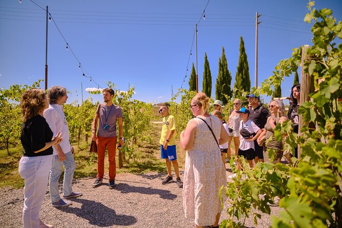 Medieval Gems of Tuscany: Siena, San Gimignano and Monteriggioni - An In-Depth Look at Whats Included