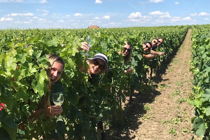 Medoc or Saint Emilion Wine Tasting and Chateau from Bordeaux - Exploring Medoc and Saint Emilion: A Closer Look
