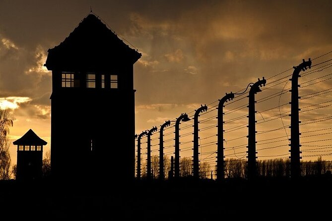 Memorial and Museum Auschwitz-Birkenau Tour & Krakow Transfer - Why You’ll Value This Tour