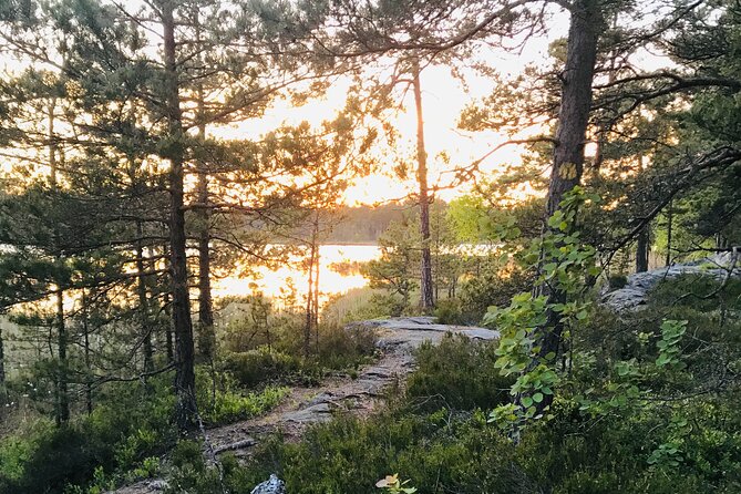 Midnight Sun and Campfire - National Park evening hike Stockholm - What Makes This Tour Special?