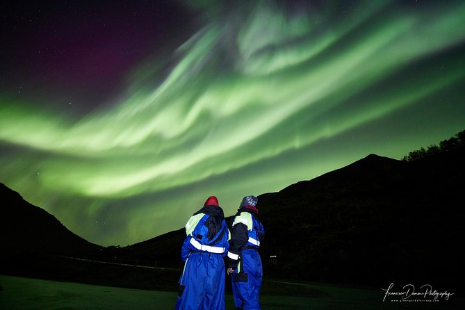 Minivan Northern Lights excursion (8 guests per minivan) - Why We Like It