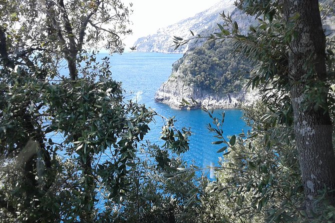 Minivan Tour | Amalfi Ravello and Pompeii with driver - The Itinerary: A Day of Discovery and Delight