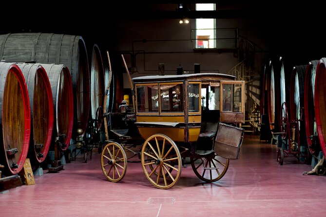 Modena area: Lambrusco Wine Tasting Experience - Who Will Love This Experience?