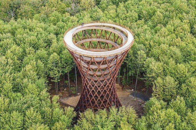 Møns klint and The Forest tower - A day tour from Copenhagen - The Experience in Detail