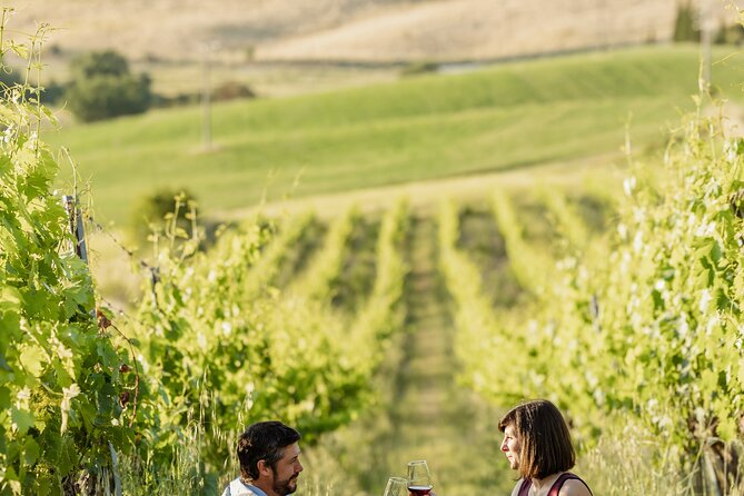 Montalcino: exclusive picnic in the vineyard with wine basket - Key Points