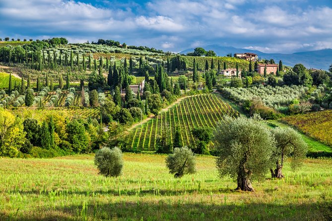 Montecarlo and Wine Tasting from Lucca Private Tour - Key Points