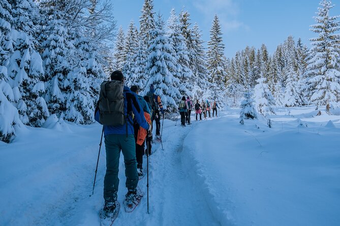 Montenegro Snowshoeing Durmitor - Who Will Love This Tour?
