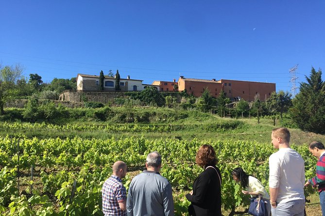 Montserrat & best winery private tour experience with a local expertise - Exploring Montserrat: A Spiritual and Cultural Treasure