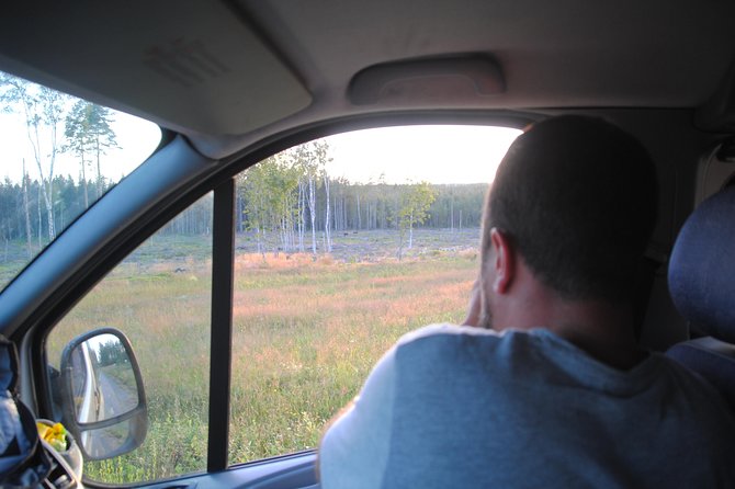 Moose safari in the wild Sweden Tiveden - In-Depth Look at the Moose Safari Experience