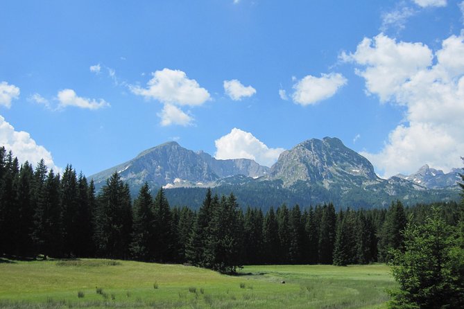 Moraca, Tara & Piva canyons with Durmitor national park - Practical Details and Value