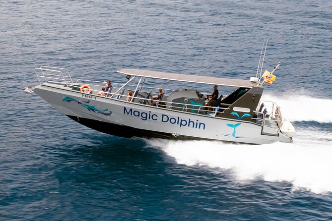 Morro Jable: 2 Hours Magic Dolphin & Whale watching with Drinks & Swim Stop. - A Detailed Look at What to Expect