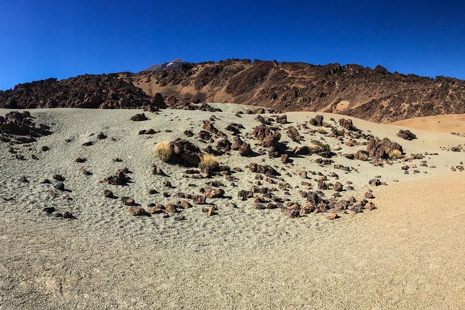 Mount Teide and Tenerife North with Food & Wine Tasting Private Tour - The Drive and the Orotava Valley