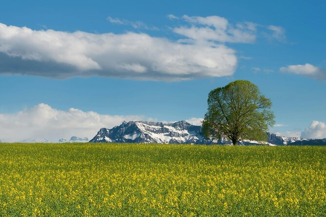 Mount Titlis with Swiss Travel Pass - Key Points